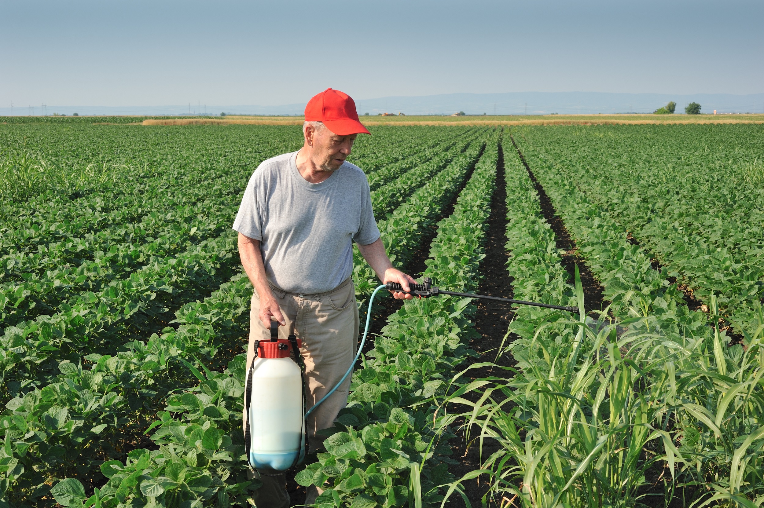 Pesticide poisoning - Pesticide Action Network UK